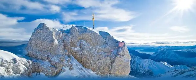 Организационная структура CDC